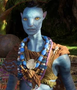 Aranahe Clan | Avatar Wiki | Fandom