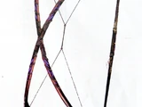 Category:Na'vi Weapons | Avatar Wiki | Fandom