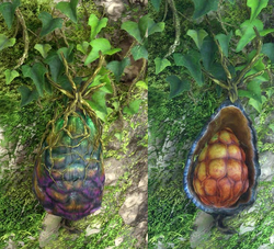 Shell Fruit | Avatar Wiki | Fandom