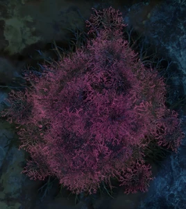 Creeping Moss | Avatar Wiki | Fandom