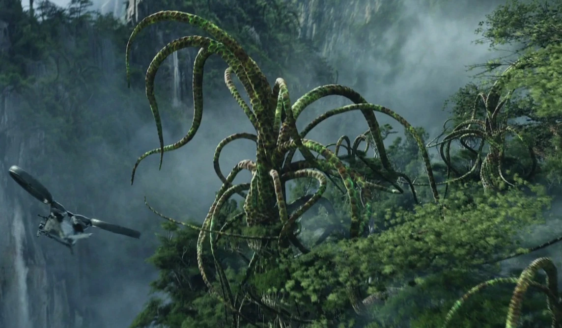 Anemone Tree | Avatar Wiki | Fandom