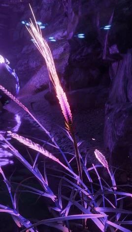 Canyon Reed | Avatar Wiki | Fandom