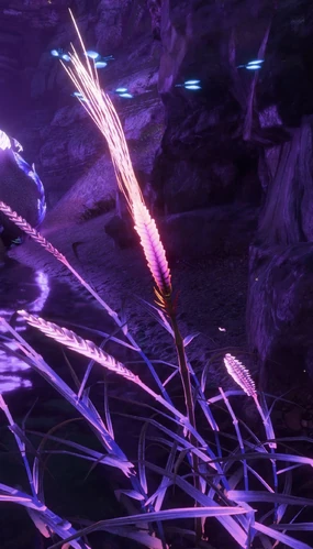 Canyon Reed | Avatar Wiki | Fandom