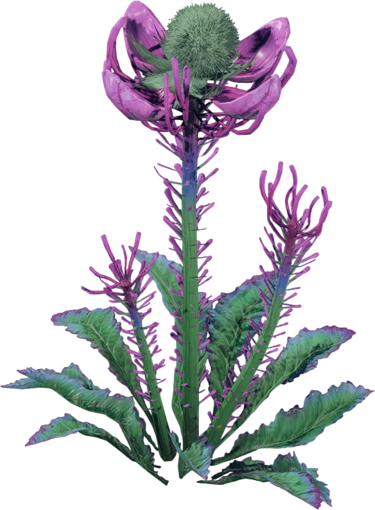 Canyon Thistle | Avatar Wiki | Fandom