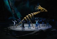 Boneyard | Avatar Wiki | Fandom