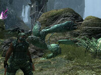 Thorny Paw | Avatar Wiki | Fandom