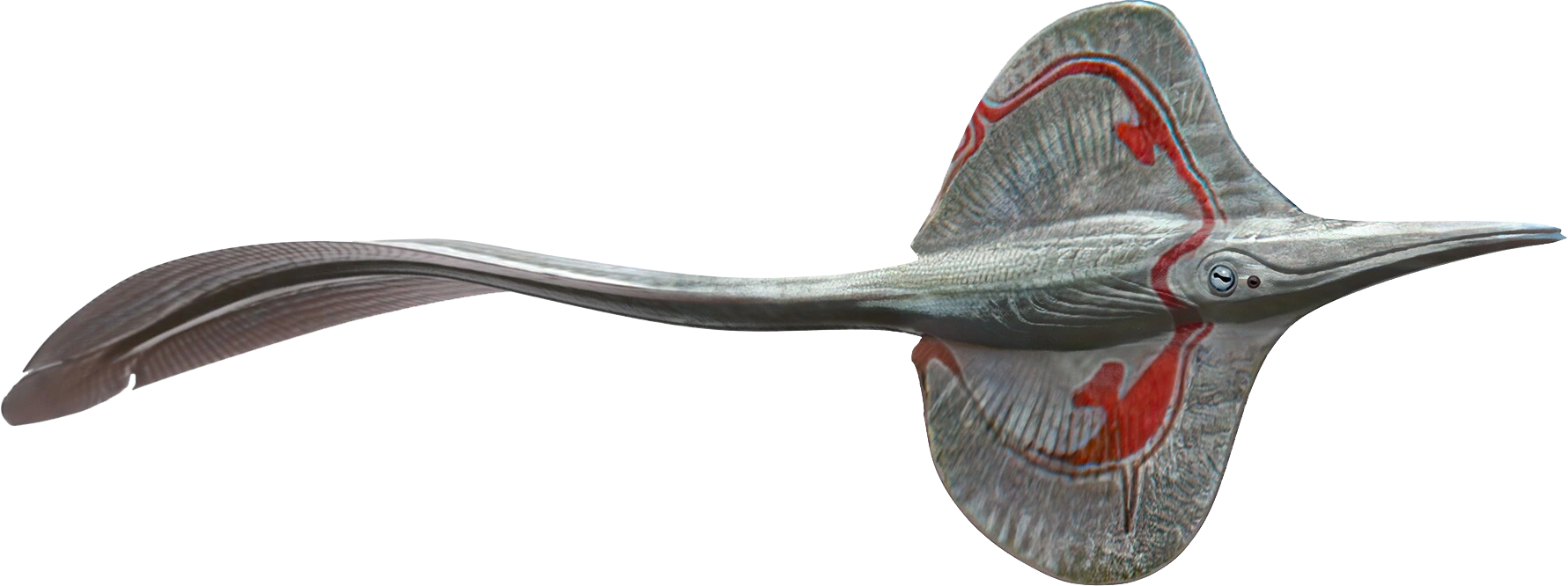 Feathertail Fish | Avatar Wiki | Fandom