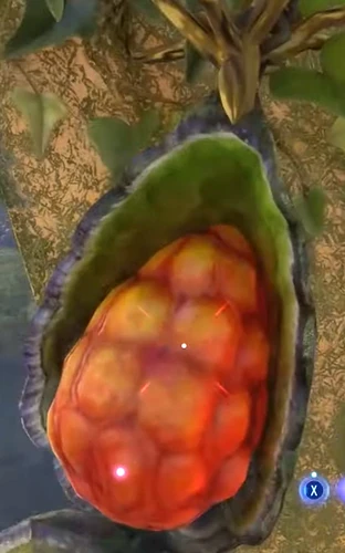 Dawn Fruit | Avatar Wiki | Fandom