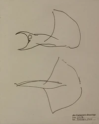 Pincer Fish | Avatar Wiki | Fandom