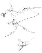 Great Leonopteryx/Gallery | Avatar Wiki | Fandom