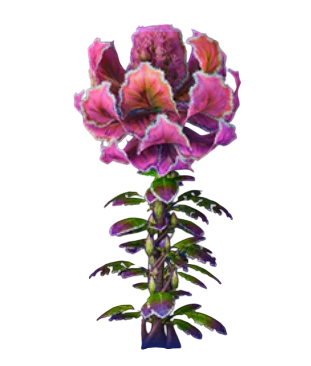 Mountain Rose | Avatar Wiki | Fandom