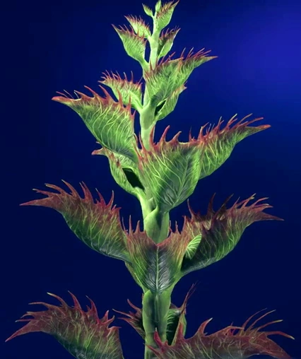 Binary Sunshine | Avatar Wiki | Fandom