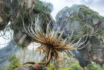 Goblin Thistle | Avatar Wiki | Fandom