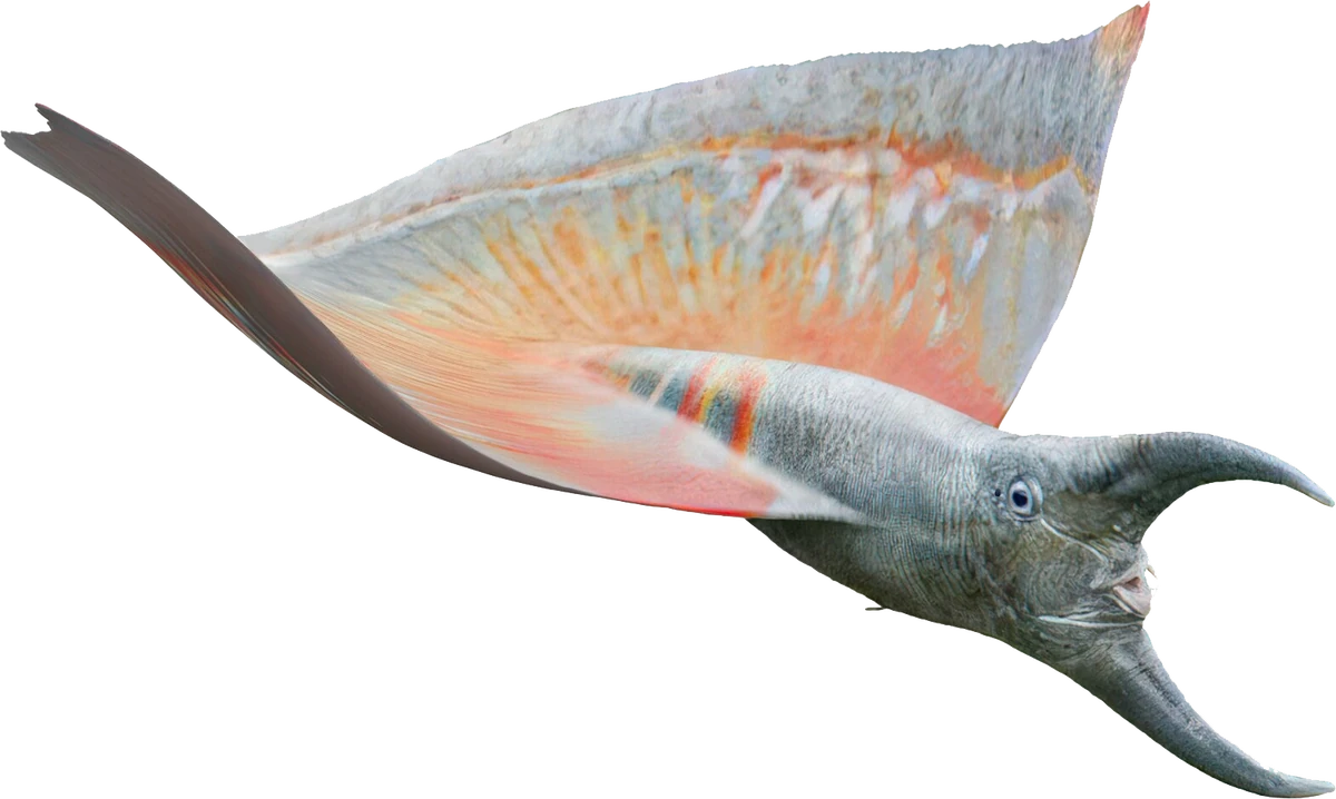 Pincer Fish | Avatar Wiki | Fandom