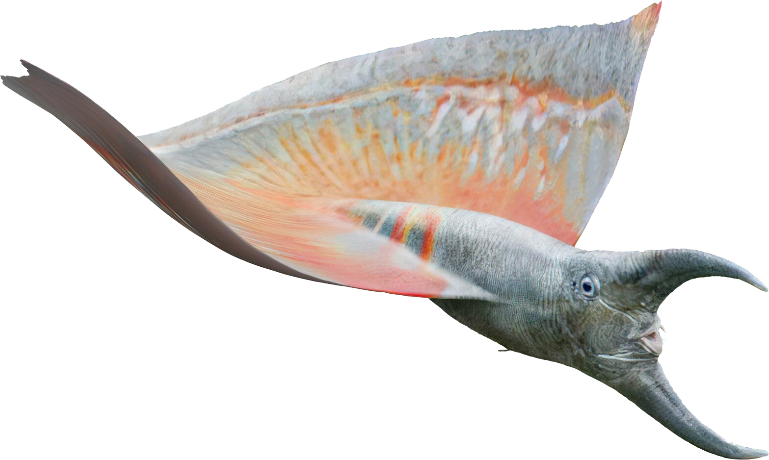 Pincer Fish | Avatar Wiki | Fandom