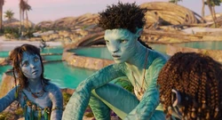 Rotxo | Avatar Wiki | Fandom