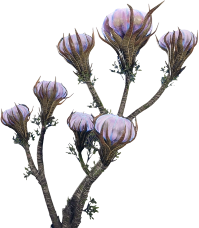 Shadow Spurs | Avatar Wiki | Fandom