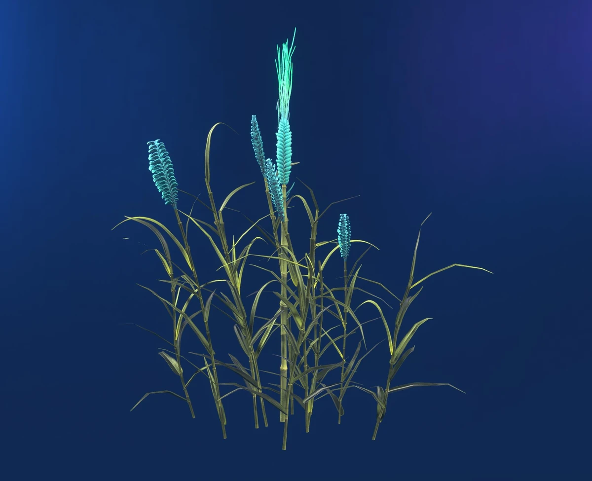 Heartlands Reed | Avatar Wiki | Fandom