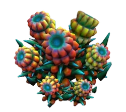 Spinecone | Avatar Wiki | Fandom