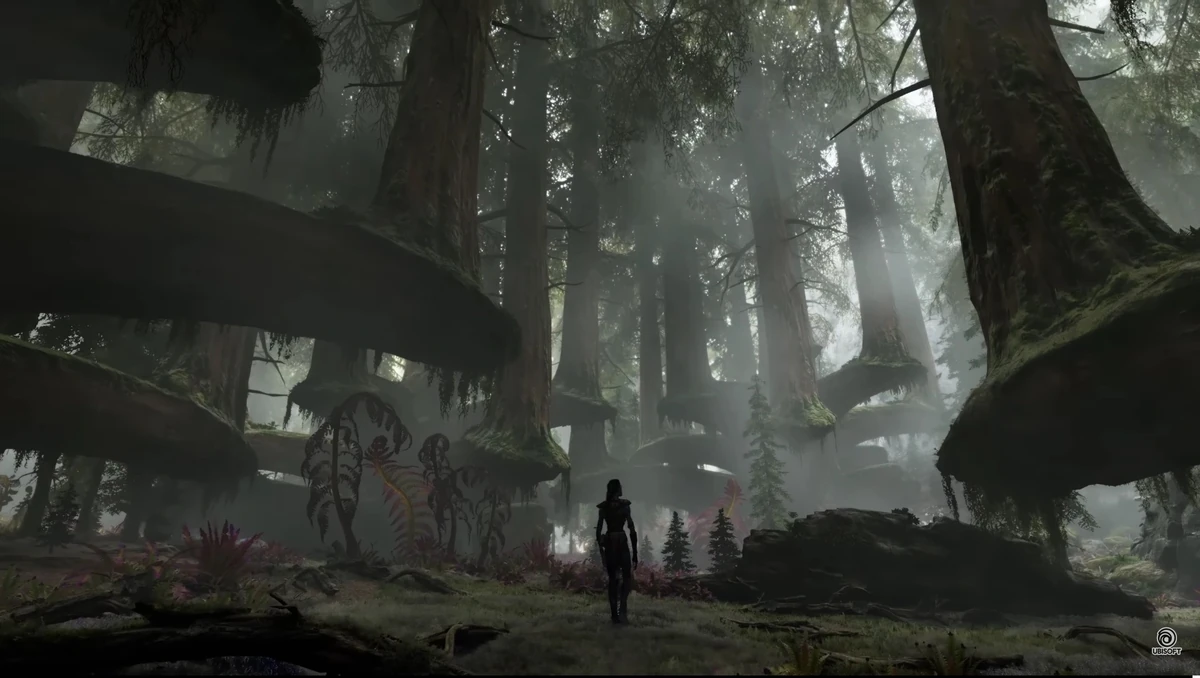 Clouded Forest | Avatar Wiki | Fandom