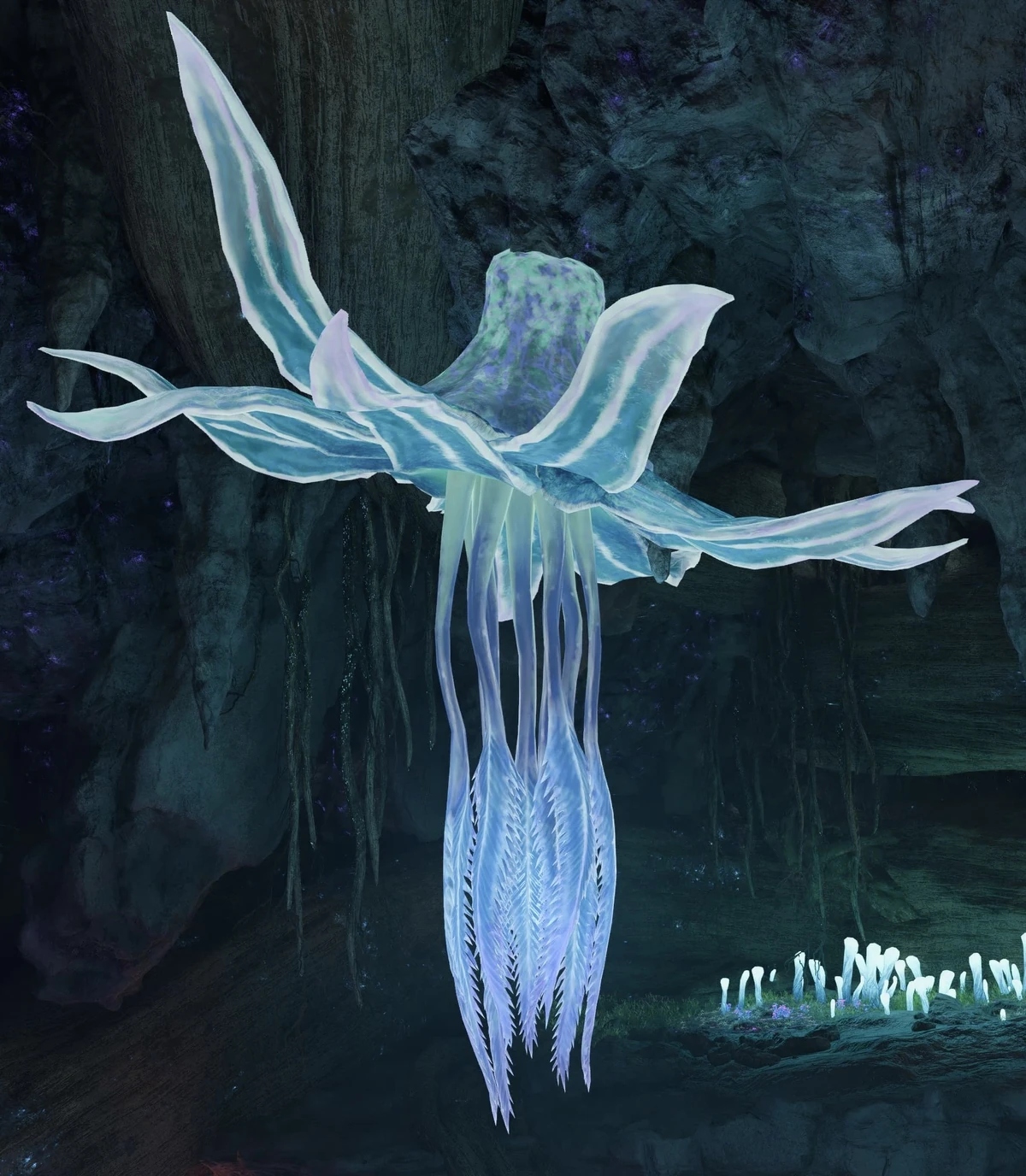 Coiling Sunshine | Avatar Wiki | Fandom