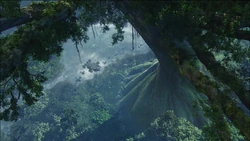 Omatikaya Clan | Avatar Wiki | Fandom