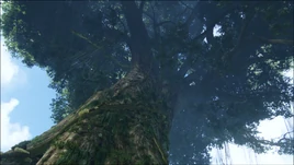 Omatikaya Hometree | Avatar Wiki | Fandom