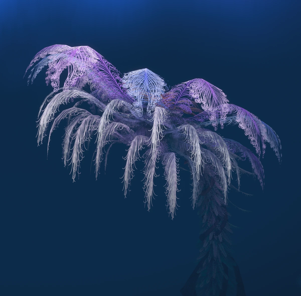 Aurora Fern | Avatar Wiki | Fandom
