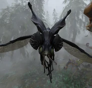 Moonscarab | Avatar Wiki | Fandom