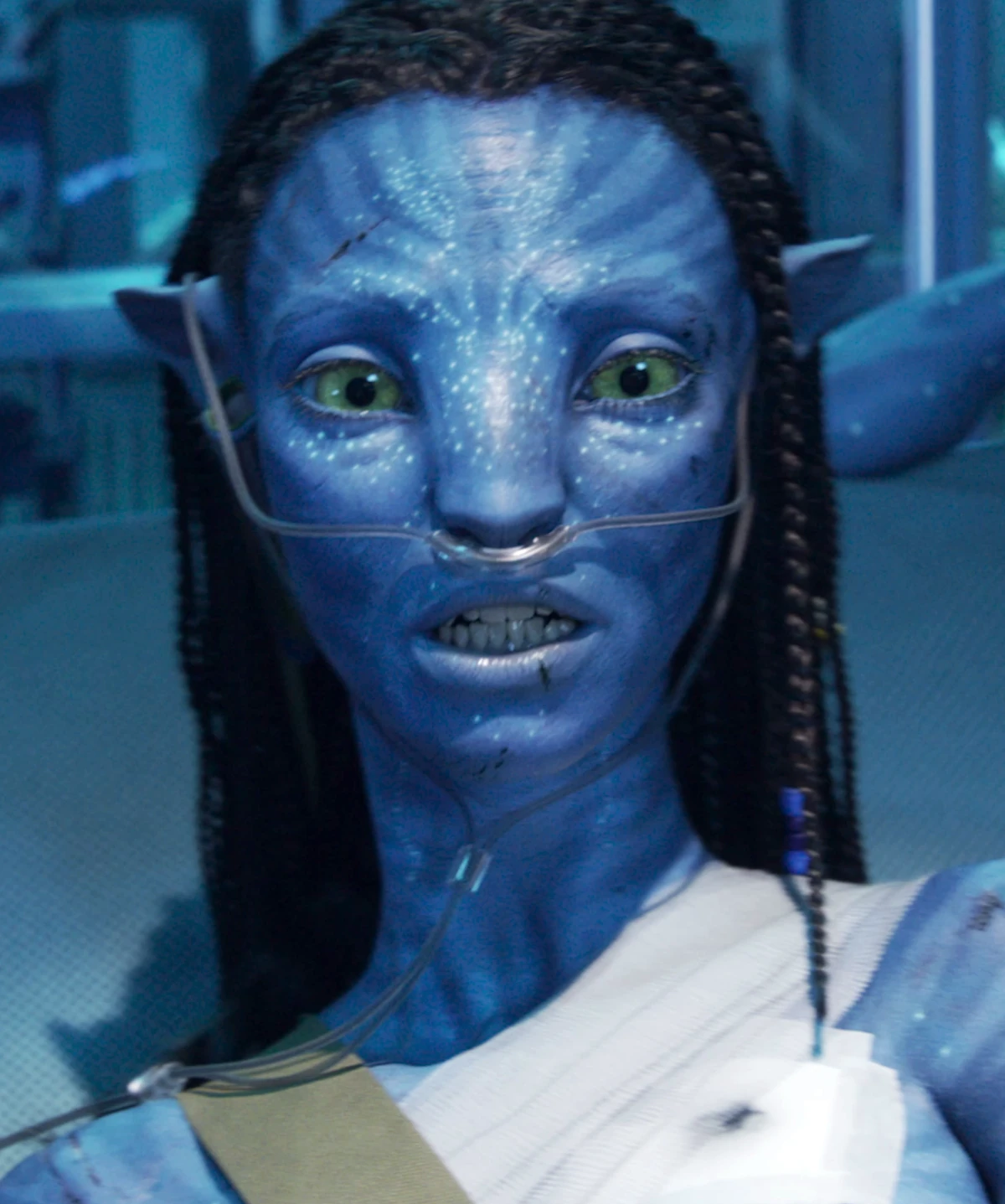 Neytiri | Avatar Wiki | Fandom