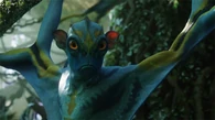 Prolemuris | Avatar Wiki | Fandom