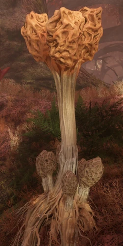 Banquet Mushroom | Avatar Wiki | Fandom