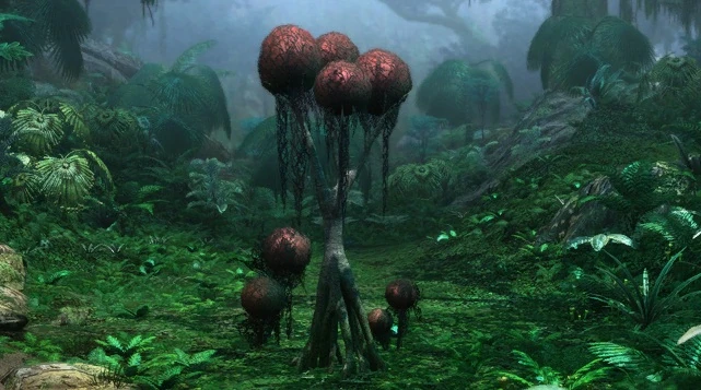 Puffball Tree | Avatar Wiki | Fandom