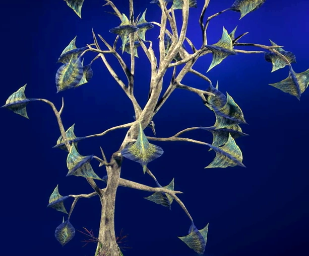 Delta Tree | Avatar Wiki | Fandom