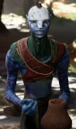 Zeswa Clan | Avatar Wiki | Fandom