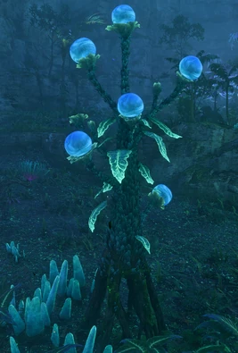 Fountain Tree | Avatar Wiki | Fandom