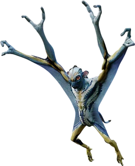 Prolemuris | Avatar Wiki | Fandom
