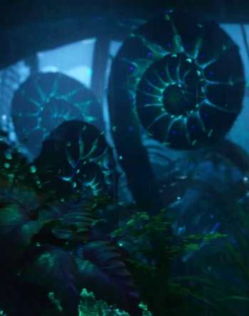 Fiddlehead | Avatar Wiki | Fandom