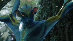 Prolemuris | Avatar Wiki | Fandom