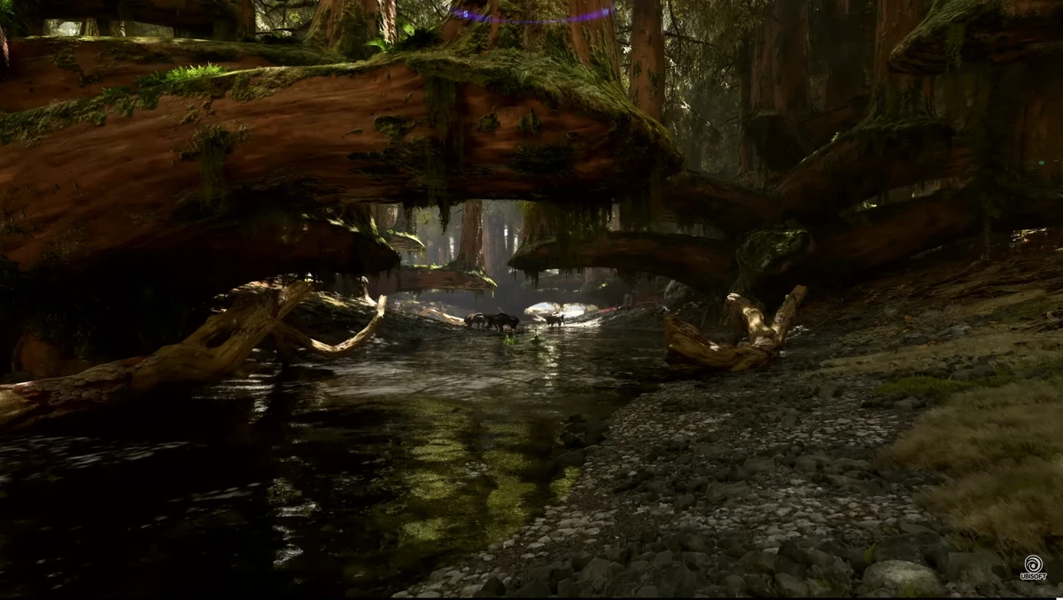 Clouded Forest | Avatar Wiki | Fandom