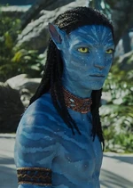 Omatikaya Clan | Avatar Wiki | Fandom
