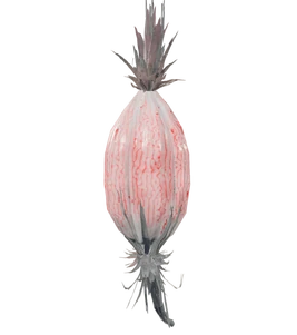 Pale Pod Fruit | Avatar Wiki | Fandom