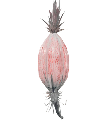 Pale Pod Fruit | Avatar Wiki | Fandom