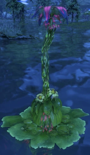 Clouded Lily | Avatar Wiki | Fandom