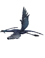 Luna Tetrapteron | Avatar Wiki | Fandom