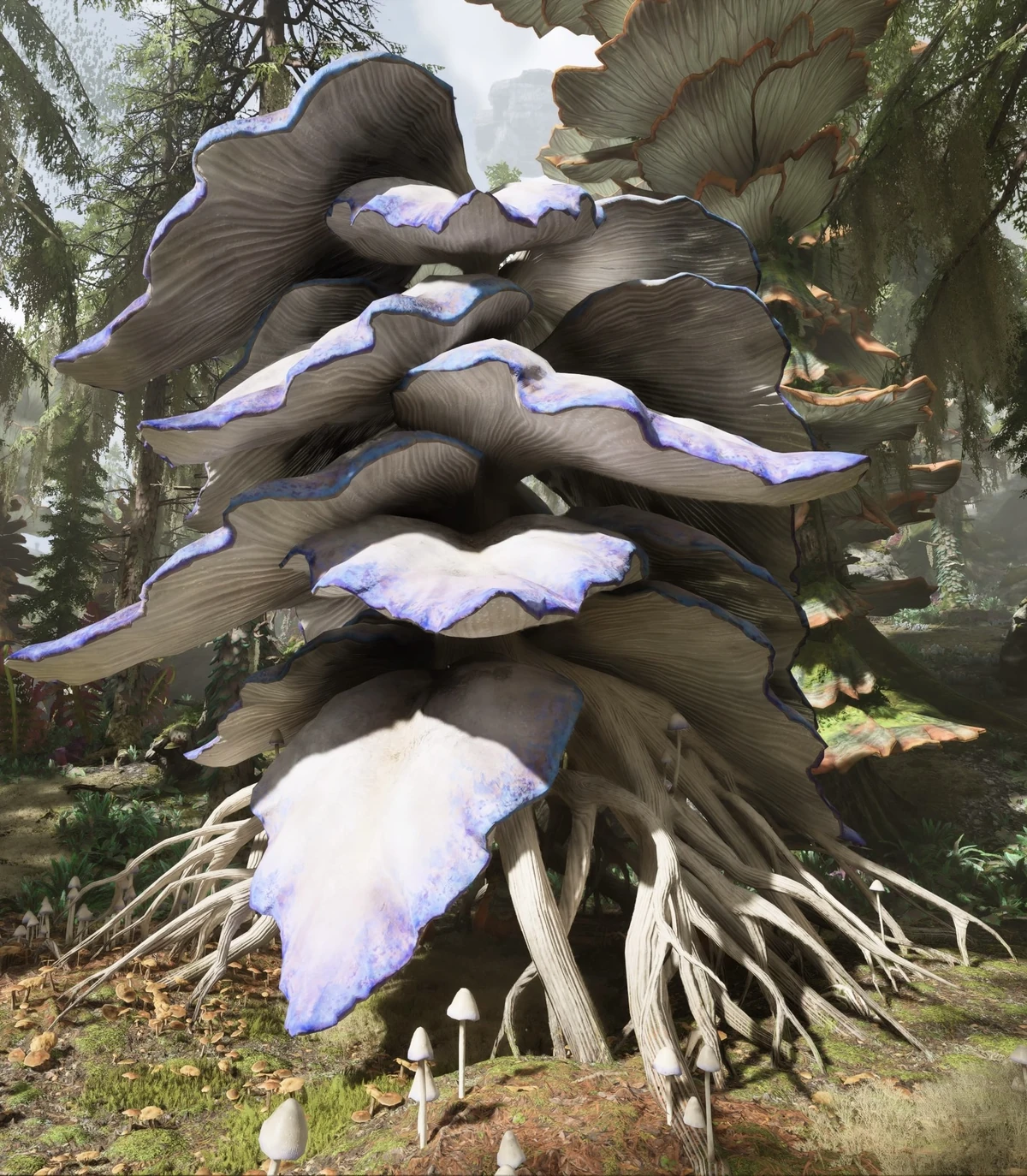 Budding Watcher | Avatar Wiki | Fandom