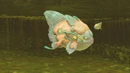 Rockbeak Fish | Avatar Wiki | Fandom