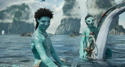 Rotxo | Avatar Wiki | Fandom