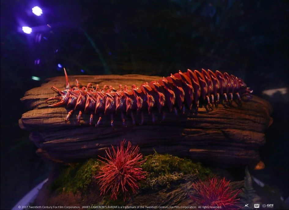 Creepy Crawler | Avatar Wiki | Fandom