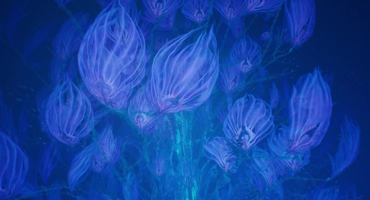 Spirit Tree | Avatar Wiki | Fandom